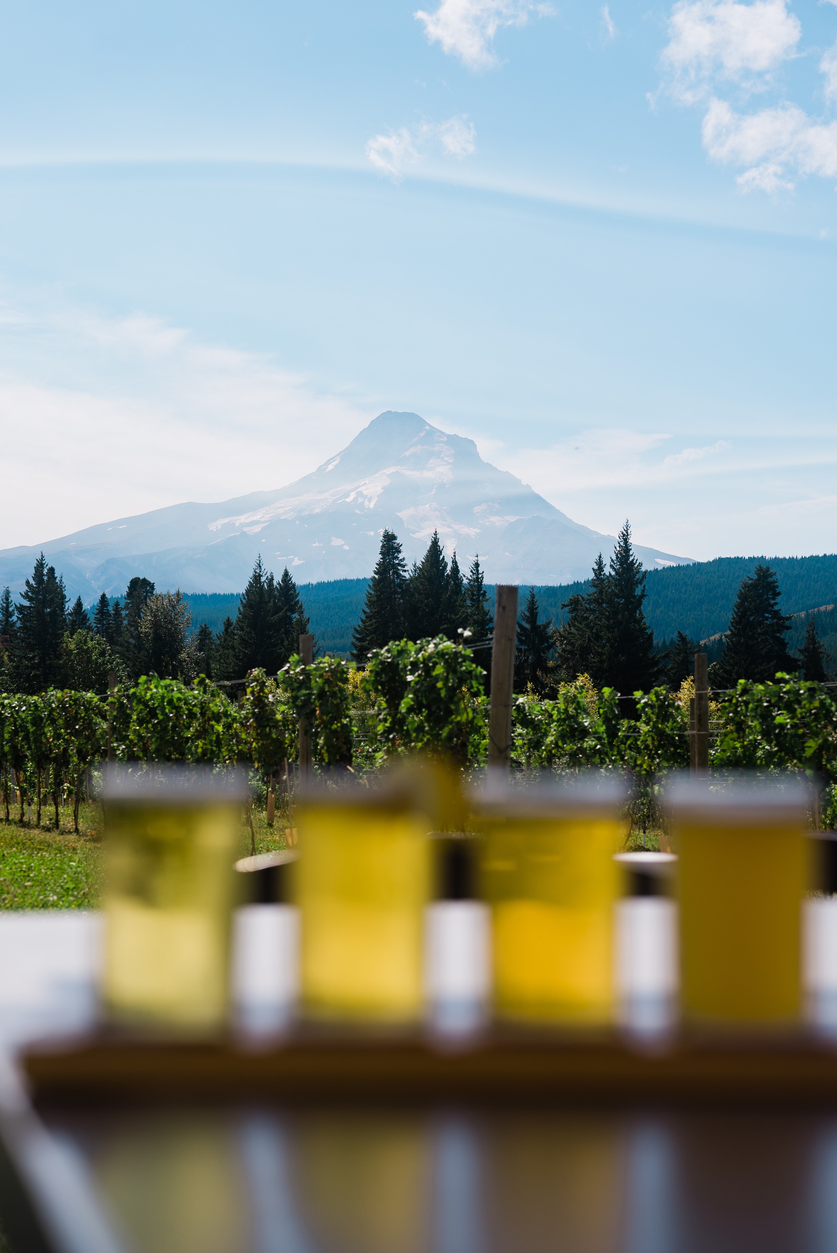 All the Best Stops on the Hood River Fruit Loop | Chris & Sara